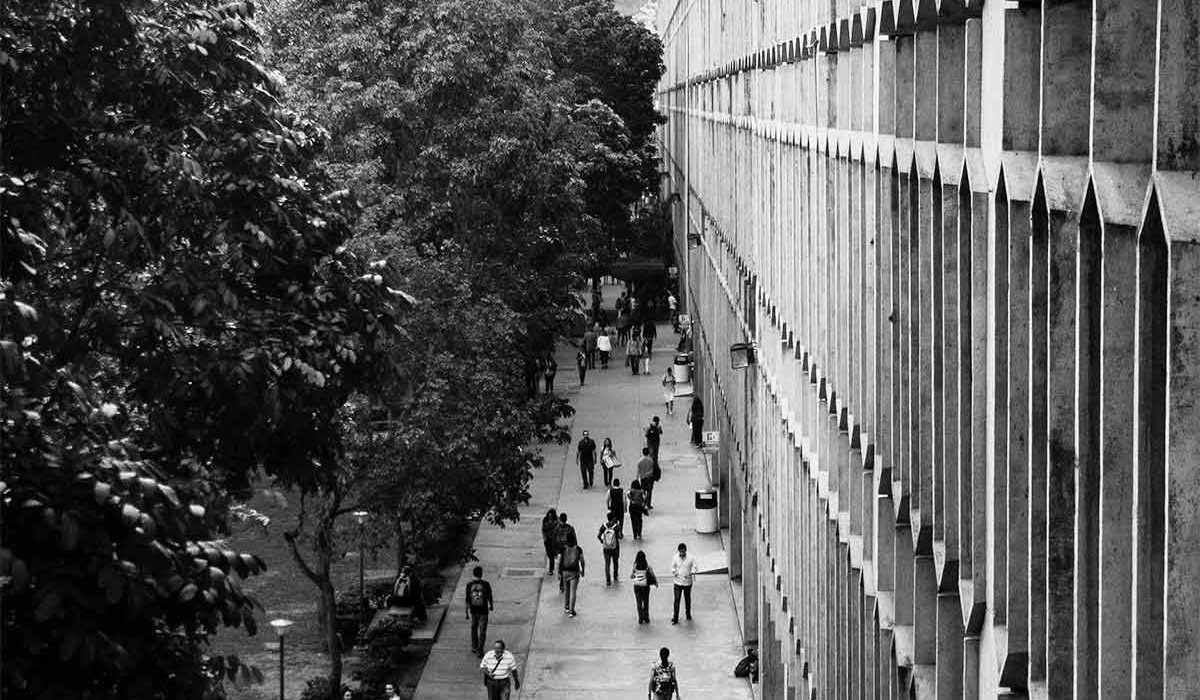 William T. Grant Foundation 2021 Institutional Challenge Grant Finalists - William T. Grant ...